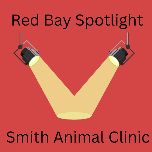 Smith Animal Clinic - Red Bay Spotlight